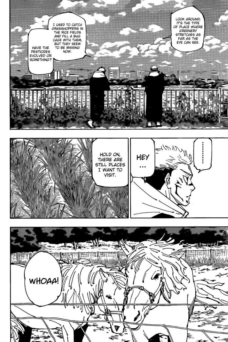 Read jujutsu kaisen (JJK) manga Chapter 265 online [English Version]